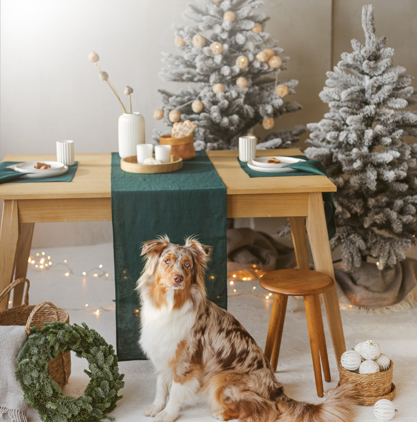 Old Linen Mill — Conscious European Linen Textile Goods